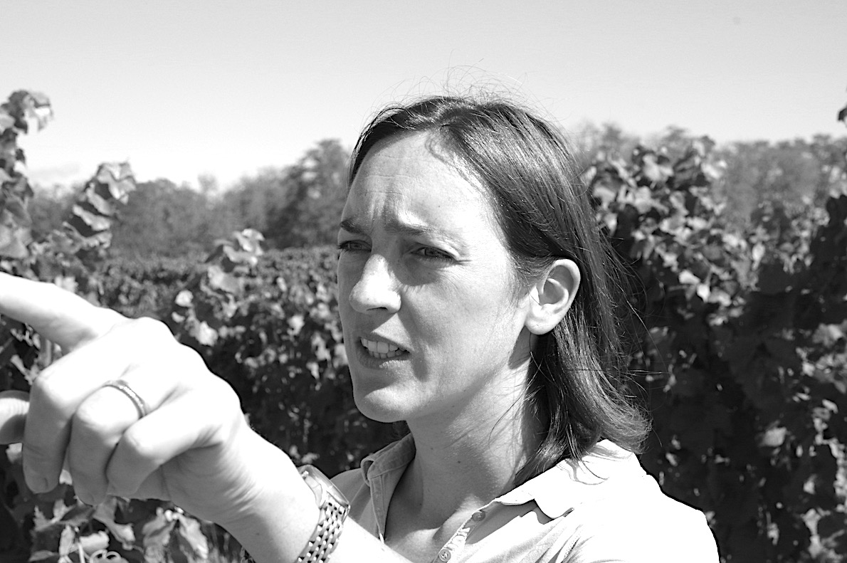 Willkommen - Weinhalle